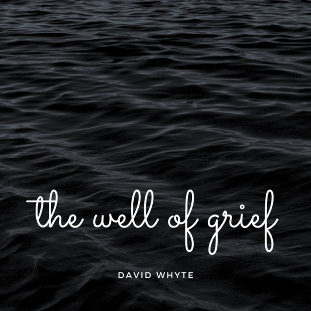 The Well of Grief by David Whyte - Wendy Haynes